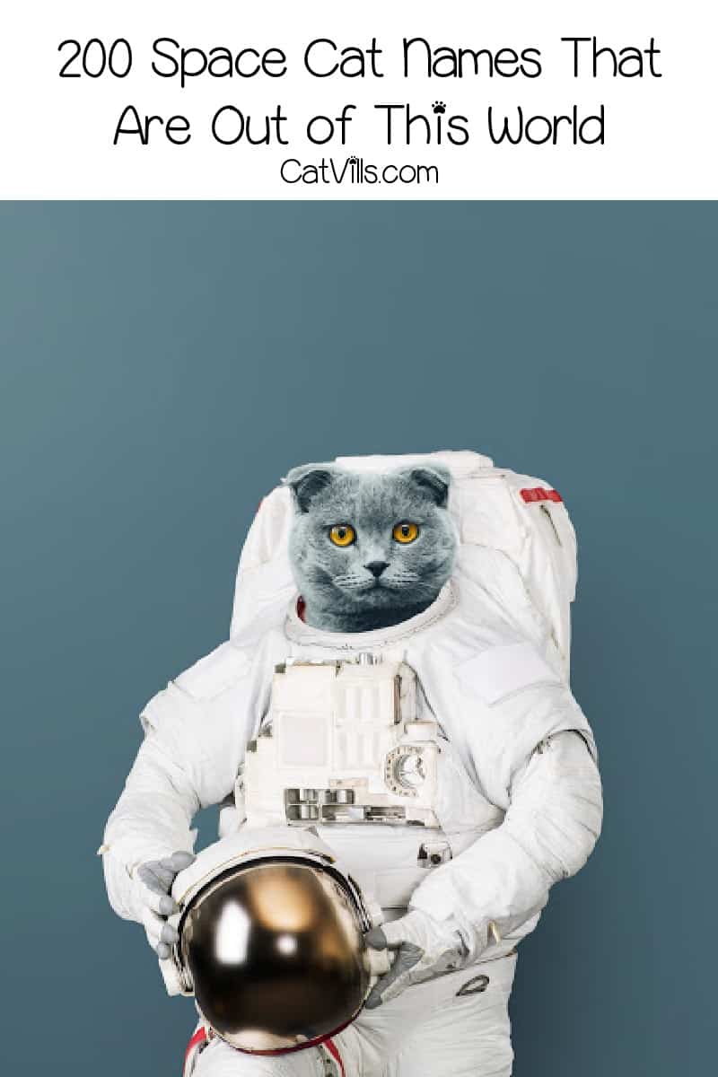 200 Space Cat Names That Are Out of This World